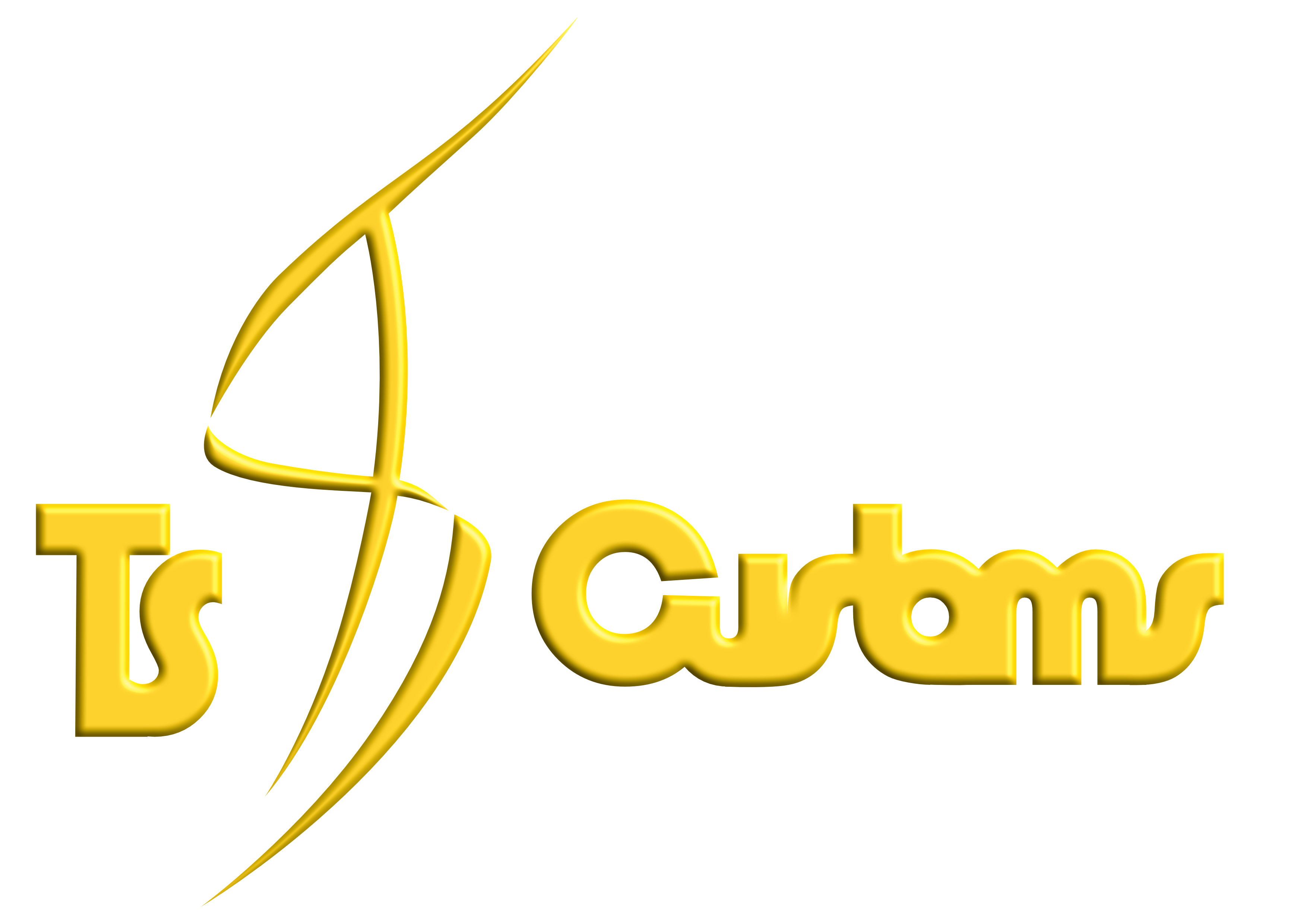 TS CUSTOMS - REPAIRS